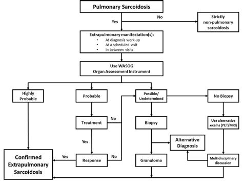 Diagnostic Strategy For Extrapulmonary Sarcoidosis In Patients With Download Scientific Diagram