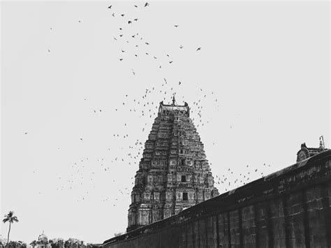 V7 Frames V7frames • Instagram Photos And Videos