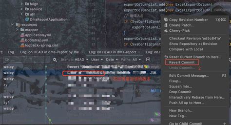 使用idea回滚某次提交的代码步骤相关技巧脚本之家