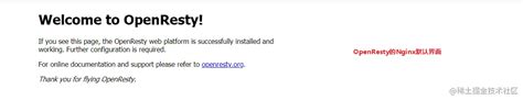 编译安装openrestyopenresty 是一个基于 Nginx 与 Lua 的高性能 Web 平台，其内部集成了大 掘金