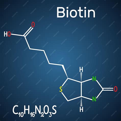 Premium Vector Biotin Vitamin B7 Structural Chemical Formula And