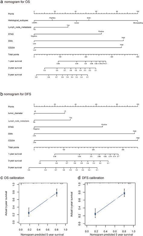 nomograms of the results of prognostic models using clinicopathological