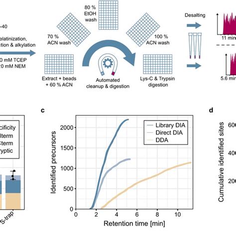 High Throughput Bone Proteome Analysis Workflow And Benchmark A Sample Download Scientific