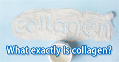 How Well Do You Know About Collagen?