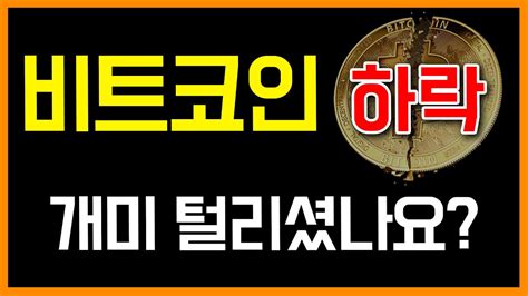 코인 하락 개미털리셨나요 지금이 기회입니다 코린이 필수시청 비트코인 이더리움 리플코인 도지코인 스트라티스 칠리즈 세럼 엑시인피니티 카이버네트워크 Youtube