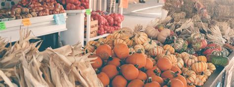 독일 현지 여행사 가도유로투어