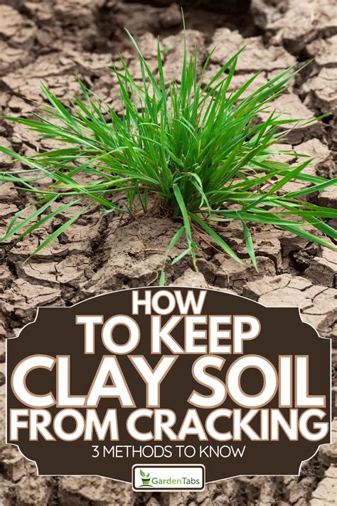 How To Keep Clay Soil From Cracking 3 Methods To Know