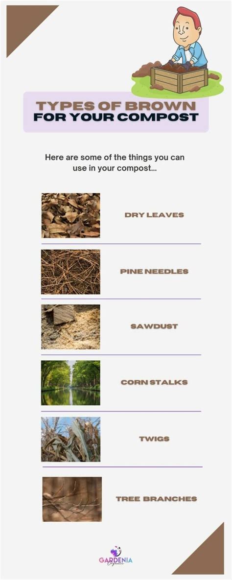 How To Get Rid Of Flies In Compost Bins Natural And Chemical Options