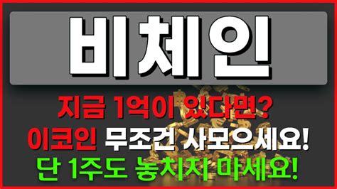 비체인 세력포착 세력은 여기까지 올립니다 바체인코인비체인코인전망비체인코인분석비체인목표가비체인전망비체인대응비체인호재비체인차트비체인분석