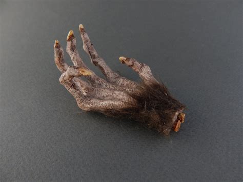 The Monkeys Paw Etsy