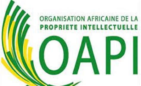 Oapi Programme De Master En Propriété Intellectuelle Yop L Frii