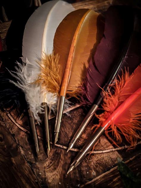 Feather Dip Quill Pen To Use With Magical Inks By Bramble And Bone