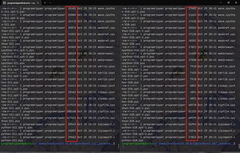 Python311 新版本前瞻详解 第一期：faster Cpython 哔哩哔哩