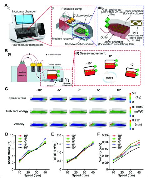 Design Of Smb And Mathematical Modeling Of The Fluidic Dynamics A