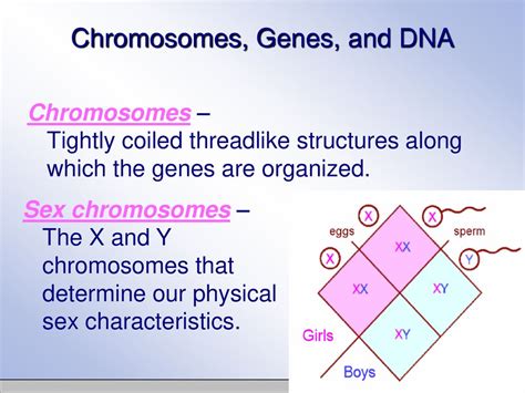 Copyright © Allyn And Bacon Ppt Download