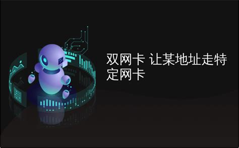 双网卡 让某地址走特定网卡 如何强制应用程序使用特定的网卡 csdn博客