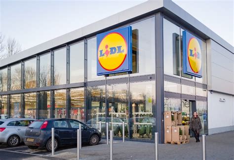 Lidl Pledges To Sell 100 Percent Free Range Eggs By 2024 End
