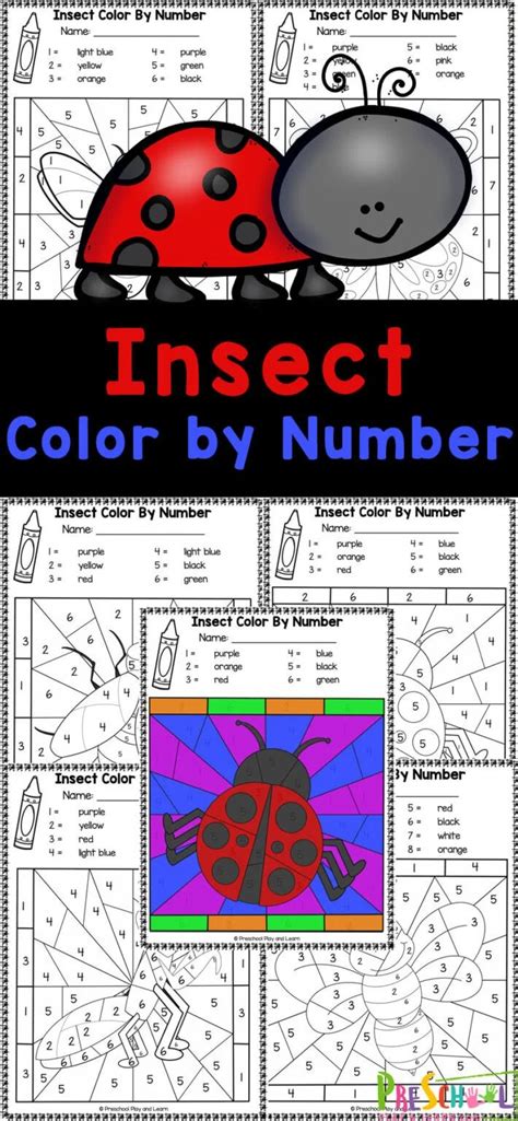 🐞 Free Insect Color By Number Bug Worksheets Shape Activities