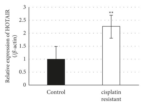 Rna Interference Targeting Hotair Generated Downregulation Of Stem Cell