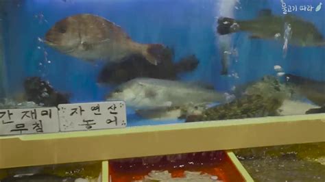 경기어촌특화지원센터 Home