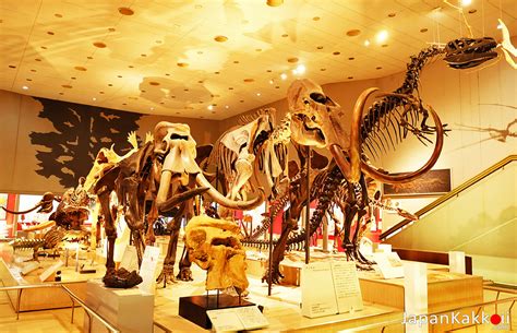 รีวิว Osaka Museum Of Natural History พิพิธภัณฑ์ในโอซาก้า