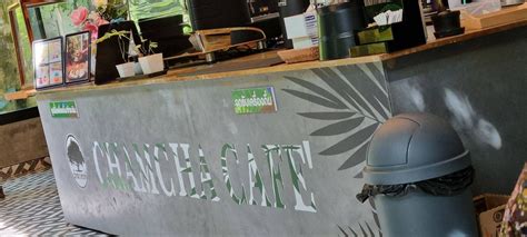 รีวิว Chamcha Cafe พิจิตร ฉำฉาต้นใหญ่