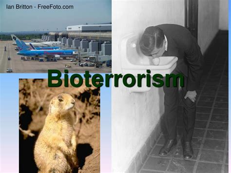 Ppt Bioterrorism Powerpoint Presentation Free Download Id 342882