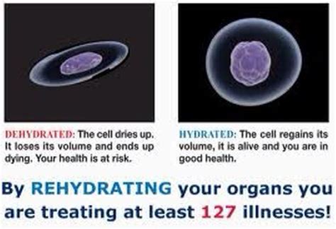 Micro Clustered Water Has The Capacity To Hydrate At The Cellular Level Kangen Water Healthy