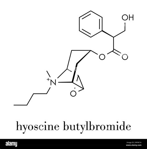 Butylscopolamine Hyoscine Butylbromide Scopolamine Butylbromide Butylhyoscine Drug Molecule