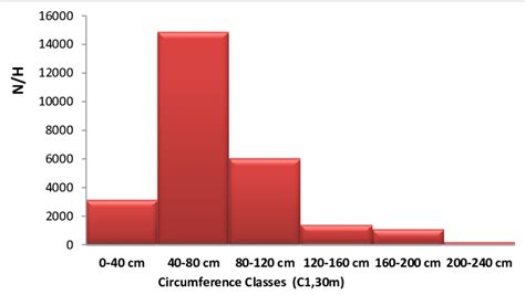 Frequency Histogram Of Stone Pine According To Circumference Classes C