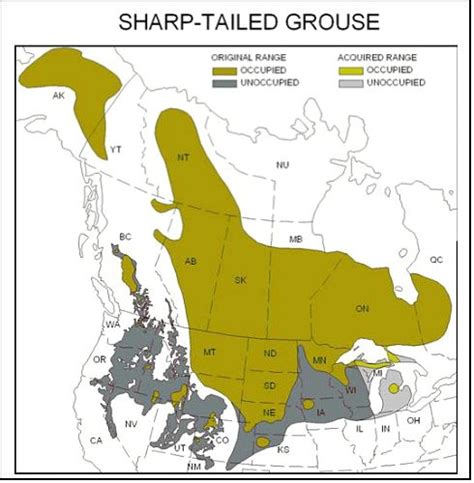 Prairie Grouse — The North American Grouse Partnership