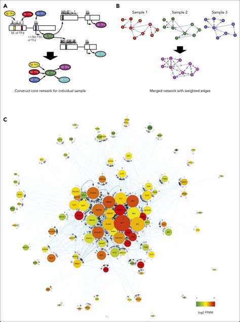 Active Enhancer And Chromatin Accessibility Landscapes Chart The