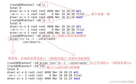 【linux系统编程】第三弹 基本指令 一 csdn博客
