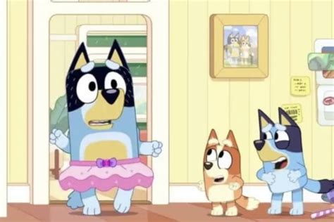 Daily Bandit Heeler On Twitter Banditheeler Daily