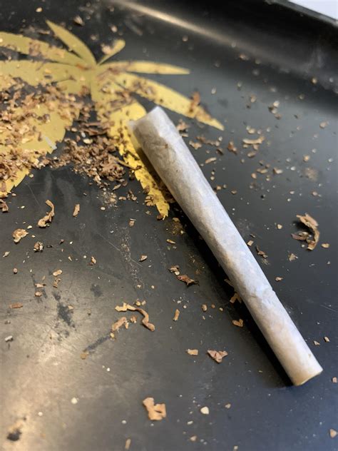 The Art Of The Roll Up 20 Ingenious Ways To Roll Your Weed