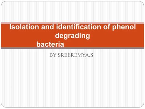 Isolation And Identification Of Phenol Degrading Pptx