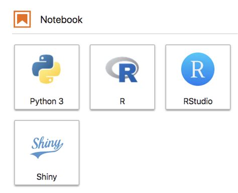 Removed Custom Jupyterlab Extension · Issue 51 · Jupyterhubjupyter