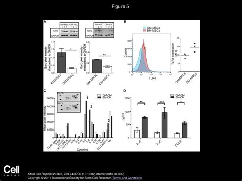 Volume Issue Pages May Ppt Download