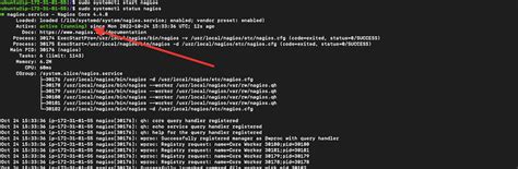 Nagios Core Beginners Guide For 2024