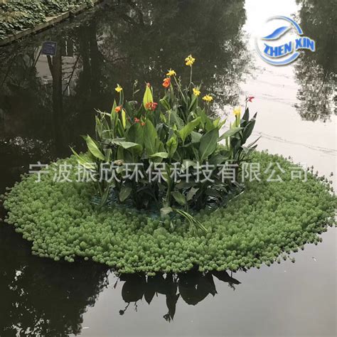 生态浮床 人工浮岛 浮动湿地 水生植物种植浮岛 宁波厂家销售浮岛 阿里巴巴