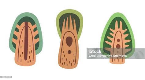 만화 민속 예술 수선 나무 아이콘 세트 플랫 벡터 스톡 일러스트 숲 식물 스티커 보육을위한 아트 프린트 개체 그룹에 대한 스톡 벡터 아트 및 기타 이미지 Istock