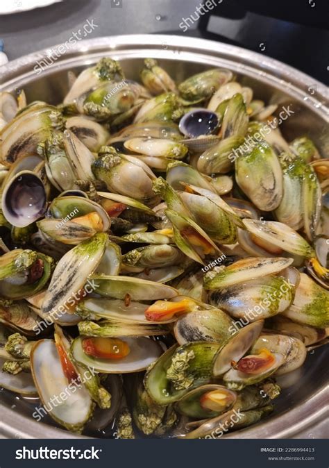 Pipi Clams 84 Images Photos Et Images Vectorielles De Stock Shutterstock