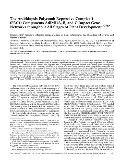 Pdf The Arabidopsis Polycomb Repressive Complex 1 Prc1 Components