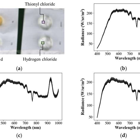 Example Of Spectral Extraction And Extracted Spectral Signatures A Download Scientific