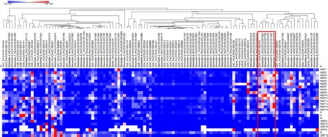 Hierarchical Clustering Of Sets Of Sars Cov 2 Next Generation