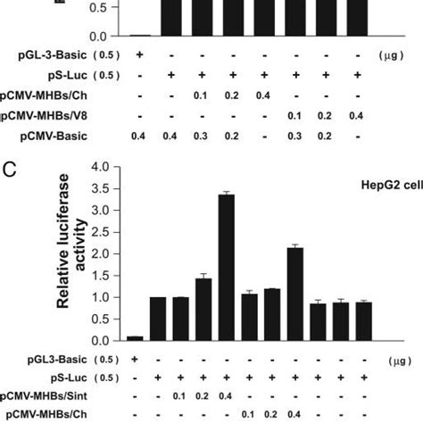 Mutation Of The V8 Protease Cleavage Site Abolishes The M Protein