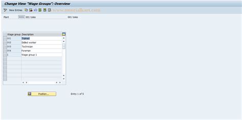 OP SAP Tcode Maintain Wage Groups