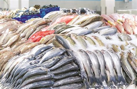 မောင်တောနယ်စပ်ကုန်သွယ်ရေးစခန်းမှ ဘင်္ဂလားဒေ့ရှ်နိုင်ငံသို့ ငါးမြစ်ချင