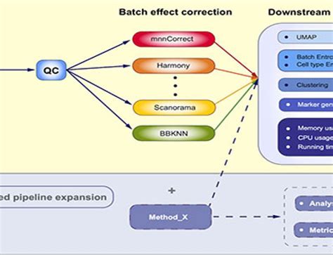 Scbn A Statistical Normalization Method And Differential Expression