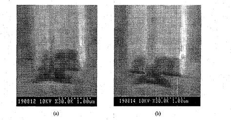 Figure 2 From T Shaped Gate Based On Poly Sipolyimide Supported Layers Semantic Scholar